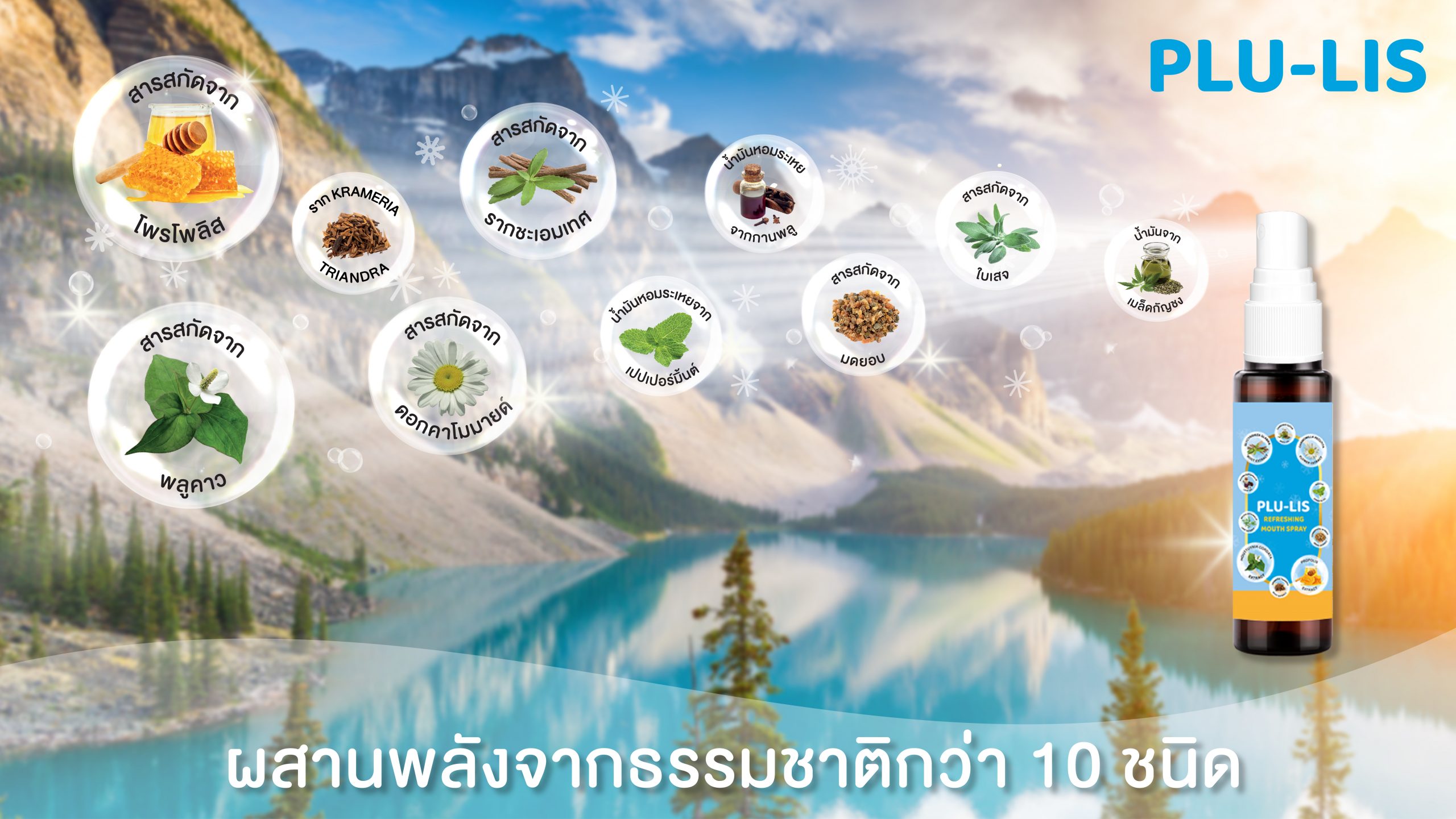 PLU-LIS - S.M. Pharmaceutical Co., Ltd.